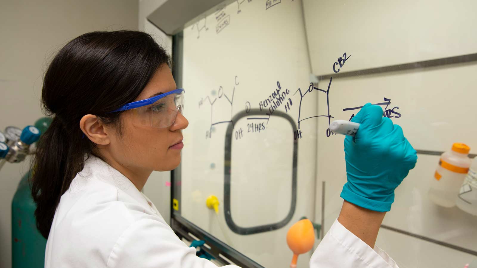 California State University Channel Islands (CI)